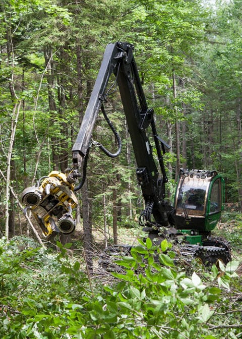 Day Logging | Logging, Land Clearing & Firewood | ME & NH