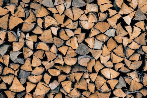 The Firewood Information You Need | Beginner’s Guidet6lll