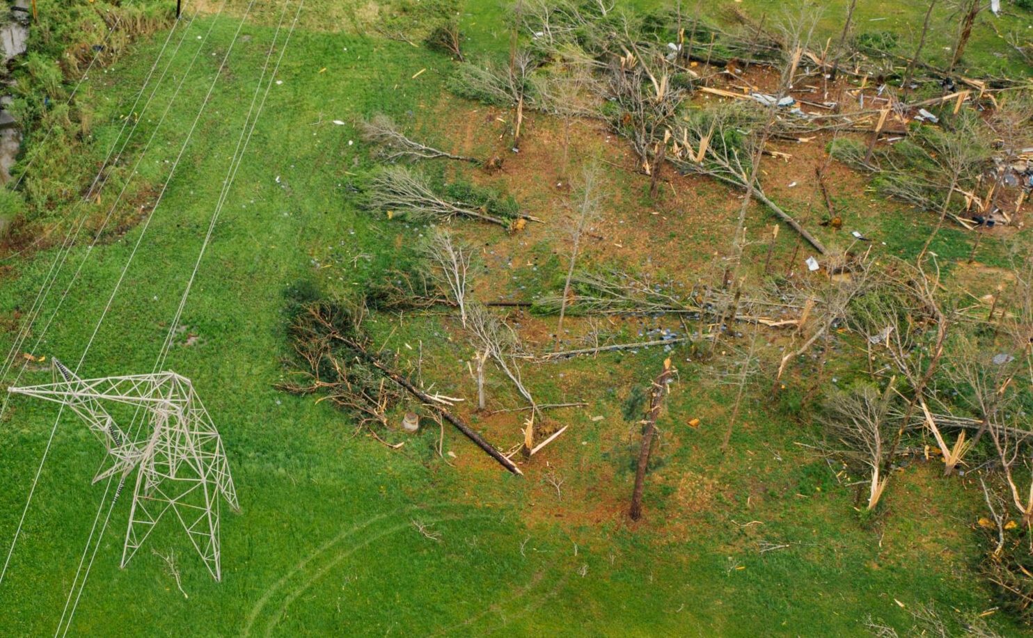 Storm Damage Recovery: Salvage Timber Value | Day Logging